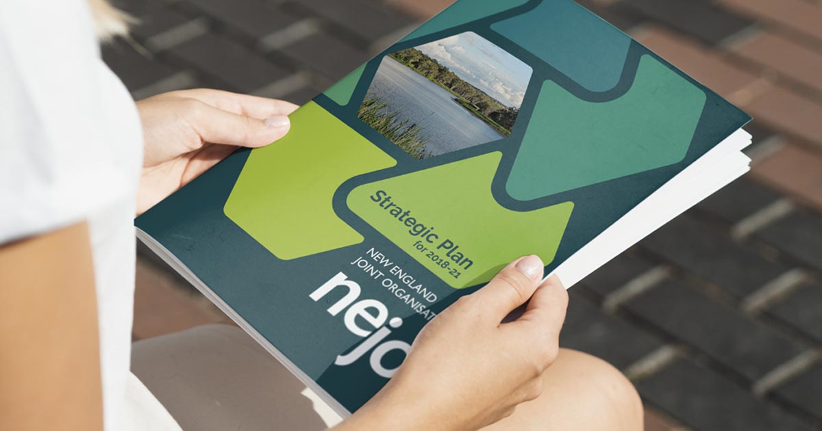 New England Joint Organisation Strategic Plan | Maya Walker